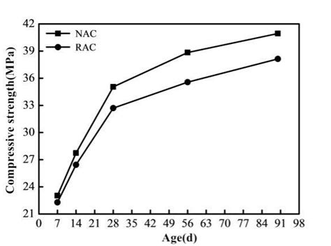 Curve Of Compressive Strength Of Nac And Rac With Age Download
