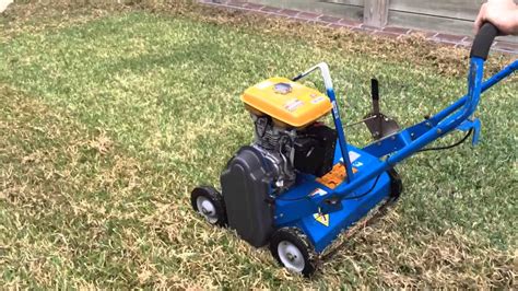 De Thatching Buffalo Grass The Easy Way Youtube