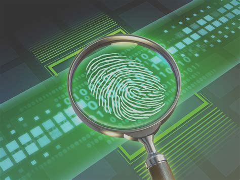 Computer Forensics Career Path At Joanne Mattes Blog
