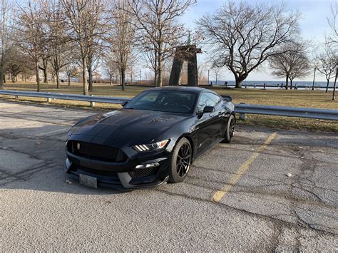 Felt Cute Might Delete Later R Mustang