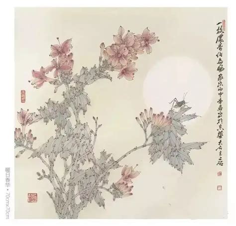 花草 堆糖美图壁纸兴趣社区