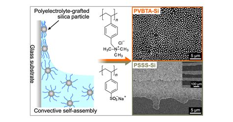 Effect Of Particlesubstrate Interactions On Colloidal Layer Structure Prepared By Convective