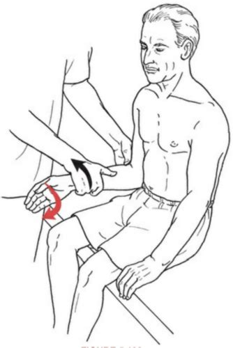 Mmt Basics Flashcards Quizlet