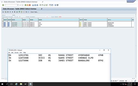 BAPI Choosing The Right Strategy