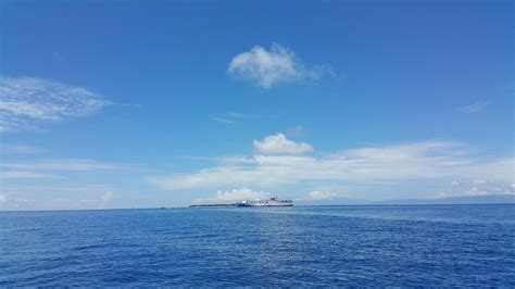 보홀 돌고래 워칭 And 발리카삭 스노클링 And 버진아일랜드 호핑 투어 조인중식 포함