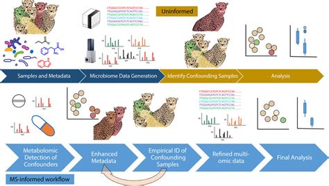 Analysis Workflow For Metabolome Informed Microbiome Analyses All