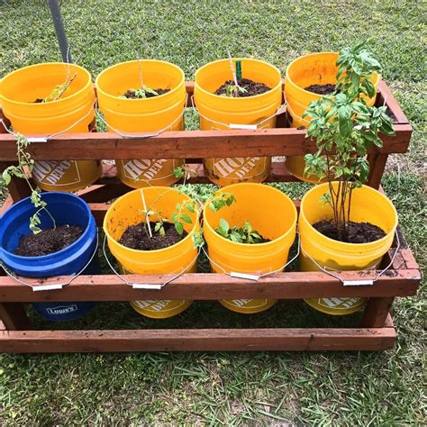 Creative Bucket Gardening Hacks For Urban Oases