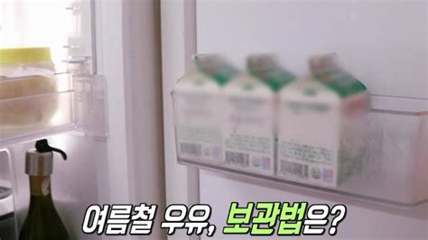 생방송 투데이 무더운 여름철 신선한 우유 보관법★ Sbs