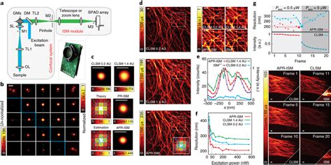 Image Scanning Microscopy With Spad Array A Schematic Of The Image Download Scientific Diagram
