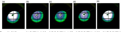 Figure 1 From High Damping Polyurethane Based Composites Modified With Amino Functionalized