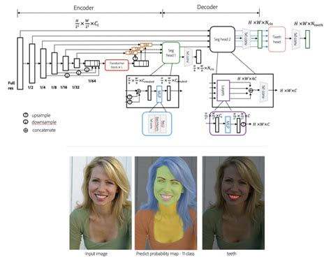 Mobile Friendly Transformer Based Portrait Segmentation