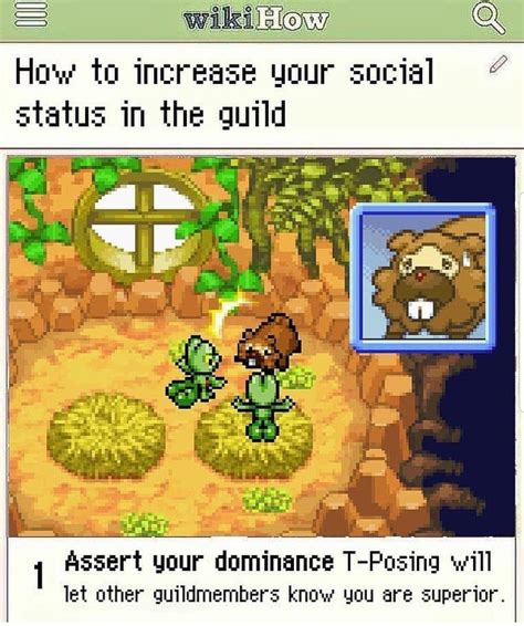 Assert Your Dominance Rmemes