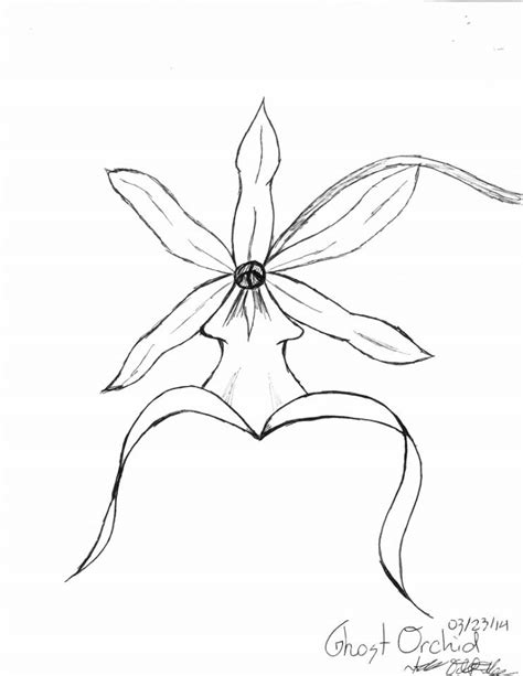 Ghost Orchid Attempt By Mokiepie On Deviantart