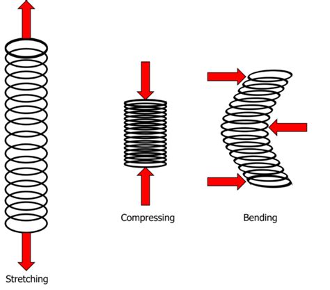 Elasticity Questions And Revision Mme