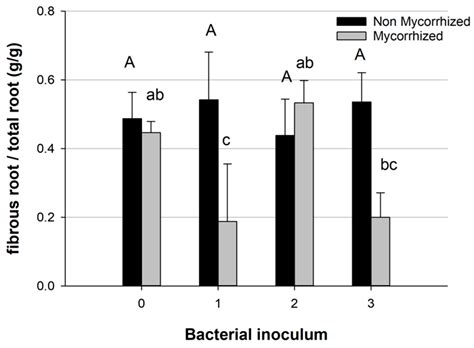 Effect Of Bacteria Inoculation On Colonization Of Roots By Tuber Melanosporum And Growth Of