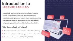 Secure Coding PowerPoint And Google Slides Template PPT Slides