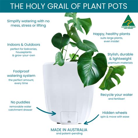 Perkypod Self Draining Plant Pot Innovation Stop Killing Your Plants
