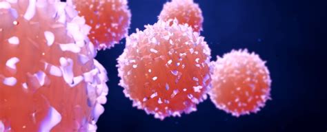 This Wild New Hypothesis Says Sex May Have Evolved To Fight Certain Types Of Cancer Sciencealert