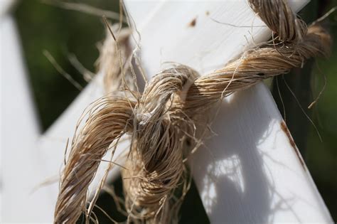 로프 마디 울타리 Pixabay의 무료 사진 Pixabay