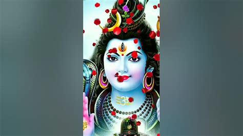 ॐनमःशिवाय 🌺🌼🔱🌼🌺🕉️ हरहरमहादेव जयशिवशंकर जयशिवशंभू जयकैलाशपति ₹ॐॐ