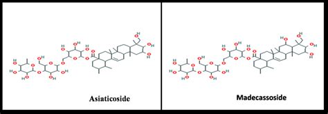 Chemical Structure Of Main Phytochemicals Present In Centella Asiatica