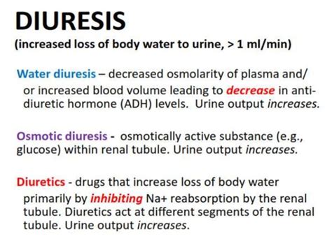 Regulation Of Water Concentration Flashcards Quizlet