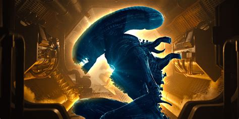 True Story Alien Romulus Director Reveals Strange Connection To The