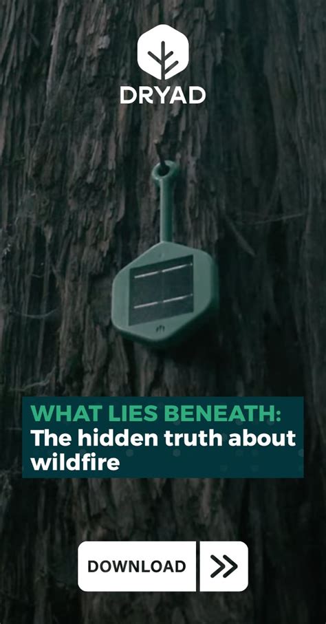 Dryad Networks On Linkedin Whitepaper Download The Hidden Truth About Wildfire Dryad