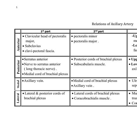 Relations Of Axillary Arterydoc Docdroid