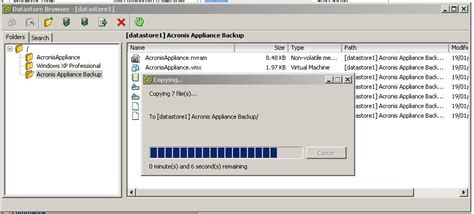 How To Clone Or Copy A Virtual Machine In Vmware Vsphere Hypervisor Esxesxi 4x Or Esxi 50
