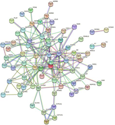 Protein Protein Interaction Ppi Network Download Scientific Diagram