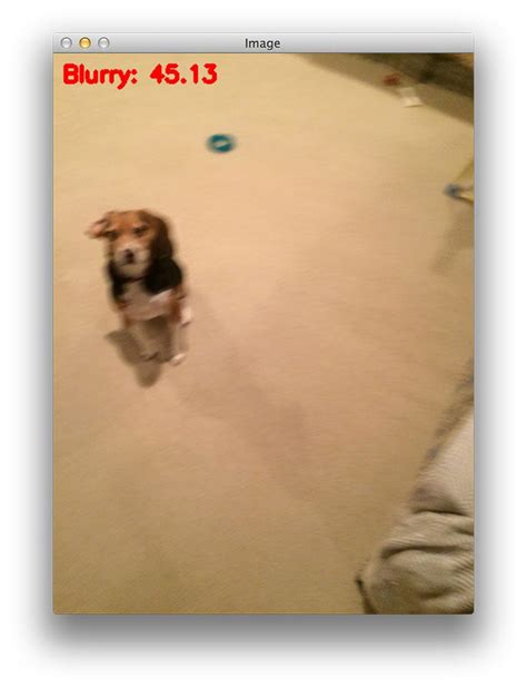 Blur Detection With Opencv Pyimagesearch