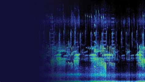 Real Time Scrolling Spectrogram Circuit Cellar