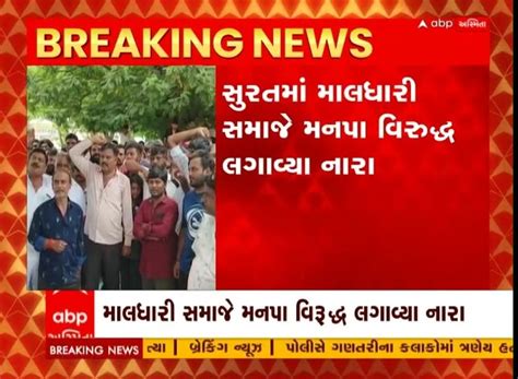 સુરત મનપાની ઢોર પકડવાની કામગીરીનો માલધારી સમાજે કર્યો વિરોધ Video Dailymotion