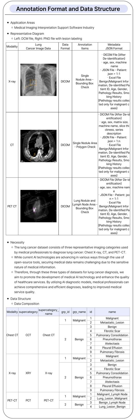 Medical Imaging For Lung Cancer Diagnosis