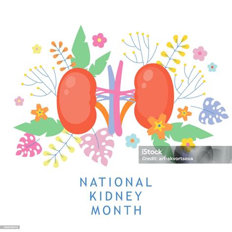 T전국 신장의 달 신장 인식 건강 의학 일러스트 인간의 신장 콩팥 내부 기관에 대한 스톡 벡터 아트 및 기타 이미지 콩팥 내부 기관 Donors Choose 강낭콩