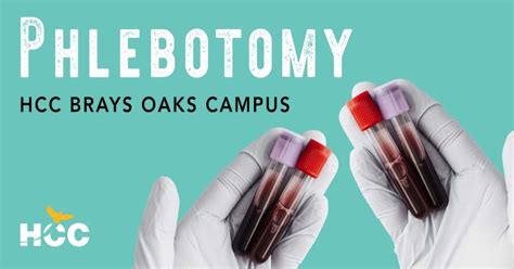 Zen Zheng On Linkedin Hcc Hccsouthwest Braysoaks