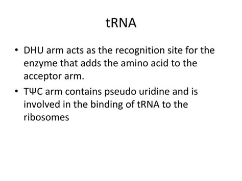 Structure And Importance Of Rna Pptx Biological Sciences Science