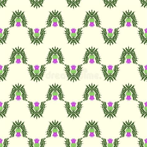 Thistle Symbol Of Scotland On White Stock Vector Illustration Of