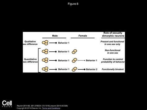 Representing Sex In The Brain One Module At A Time Ppt Download