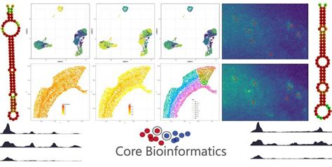 Bioinformatics Cambridge Stem Cell Institute