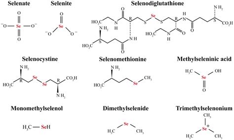 Structure Of Selenium Compounds Of Interest In The Present Paper