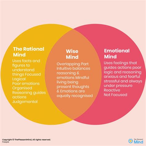 Activities For Wise Mind At Brandon Banks Blog