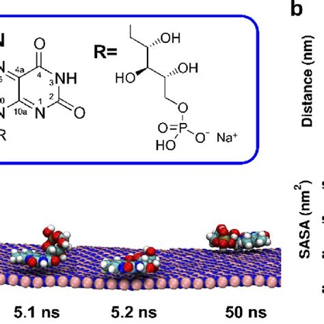 Huajian Gao Walter H Annenberg Professor Of Engineering Phd Brown University Rhode