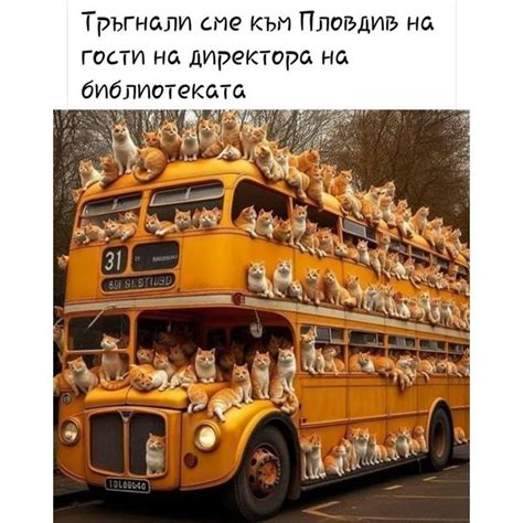 Фейсбук се шегува с патилата на котето Жорко в пловдивската библиотека