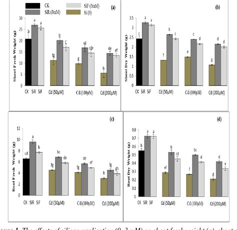 Table 1 From The Effect Of Silicon Foliar And Root Application On Growth Physiology And