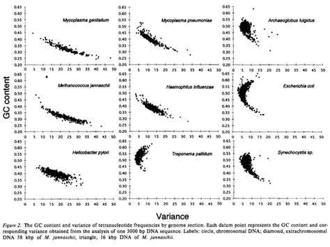 Intro To Metagenomic Binning Pdf Genetics Science