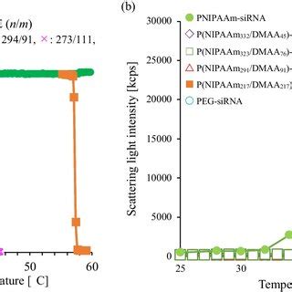 LCST Of P NIPAAmm DMAAn Polymers And Polymer SiRNA Conjugates A Download Scientific Diagram