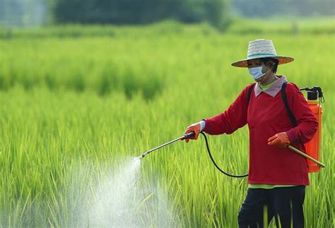 Difference Between Abamectin And Ivermectin Avermectin Pesticides
