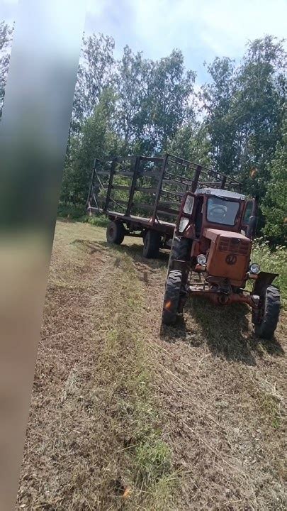 т40ам сенокос 2024 Youtube